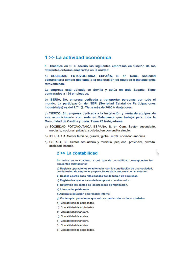 La Actividad Economica y El Patrimonio Empresarial | PDF