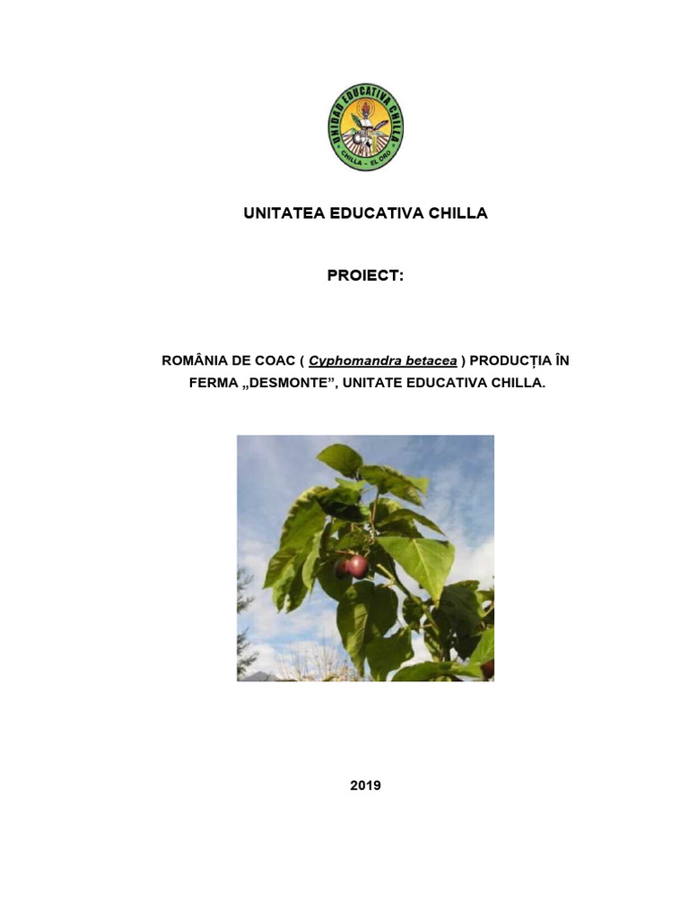 Proiectul College Tree Tomato | PDF