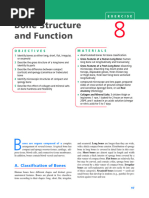 Long Bone Labeling | PDF | Wellness