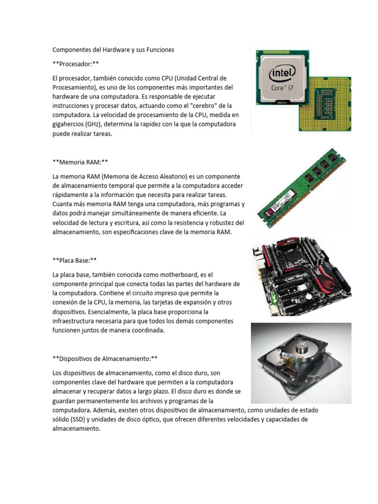 Componentes Del Hardware y Sus Funciones | Descargar gratis PDF ...