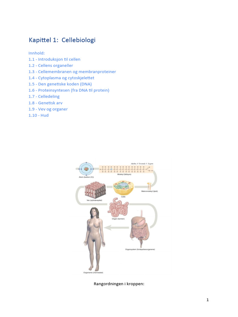 Kapittel 1 - Cellebiologi | PDF
