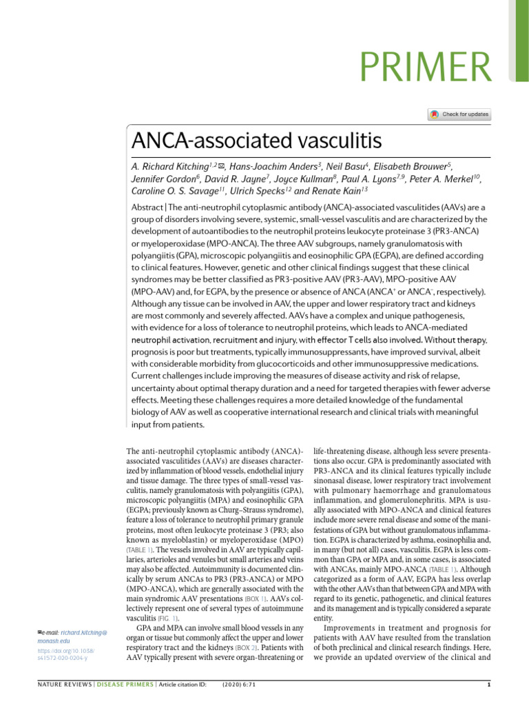 ANCA Associated Vasculitis | PDF | Medical Specialties | Clinical Medicine