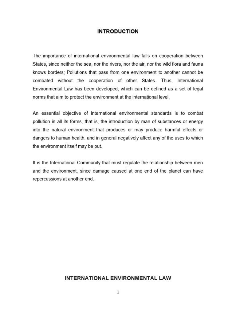 International Environmental Law | PDF | Sustainability | Environmental Law