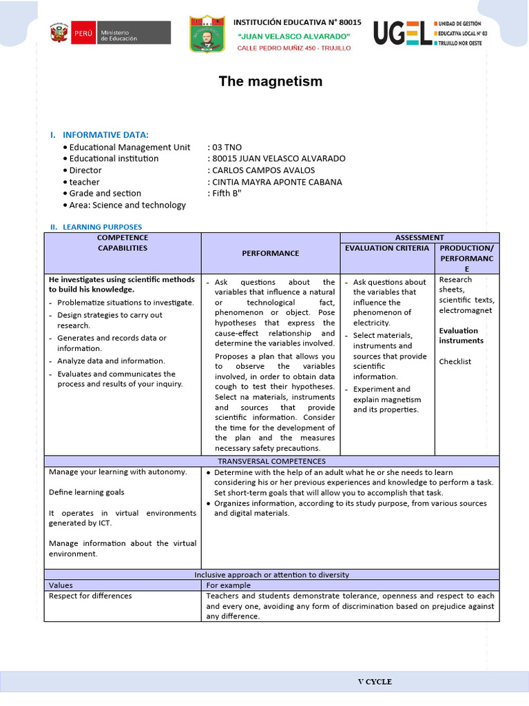 CyT - MAGNETISM SESSION | PDF | Magnetic Field | Magnet