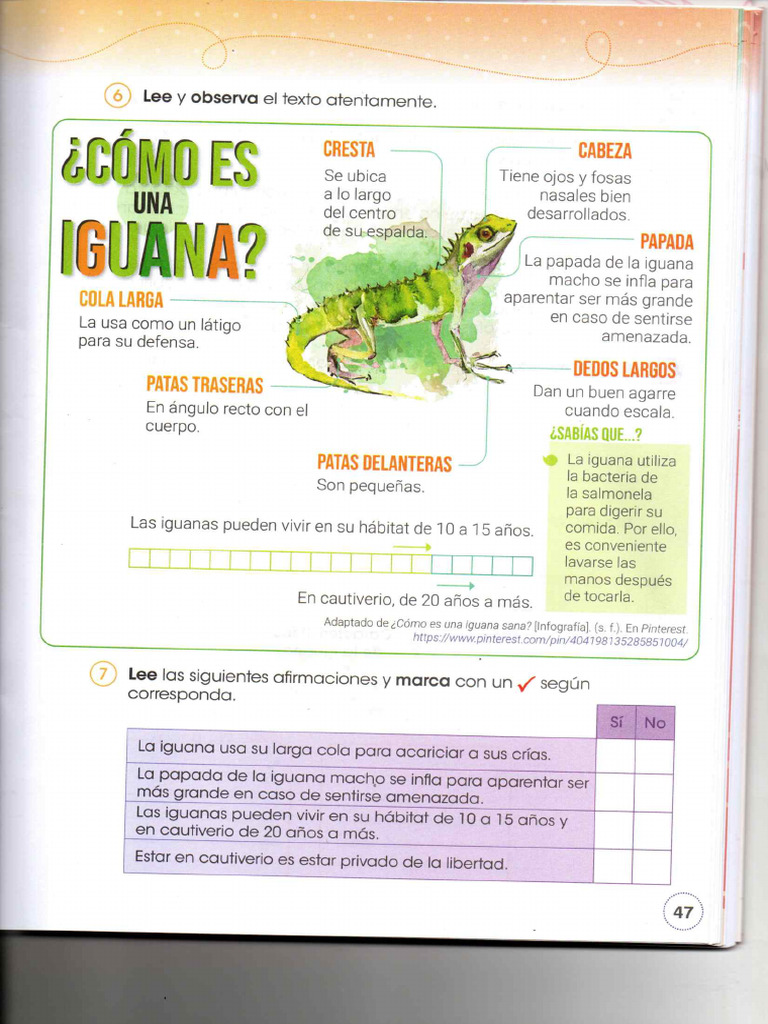 La Iguana | PDF