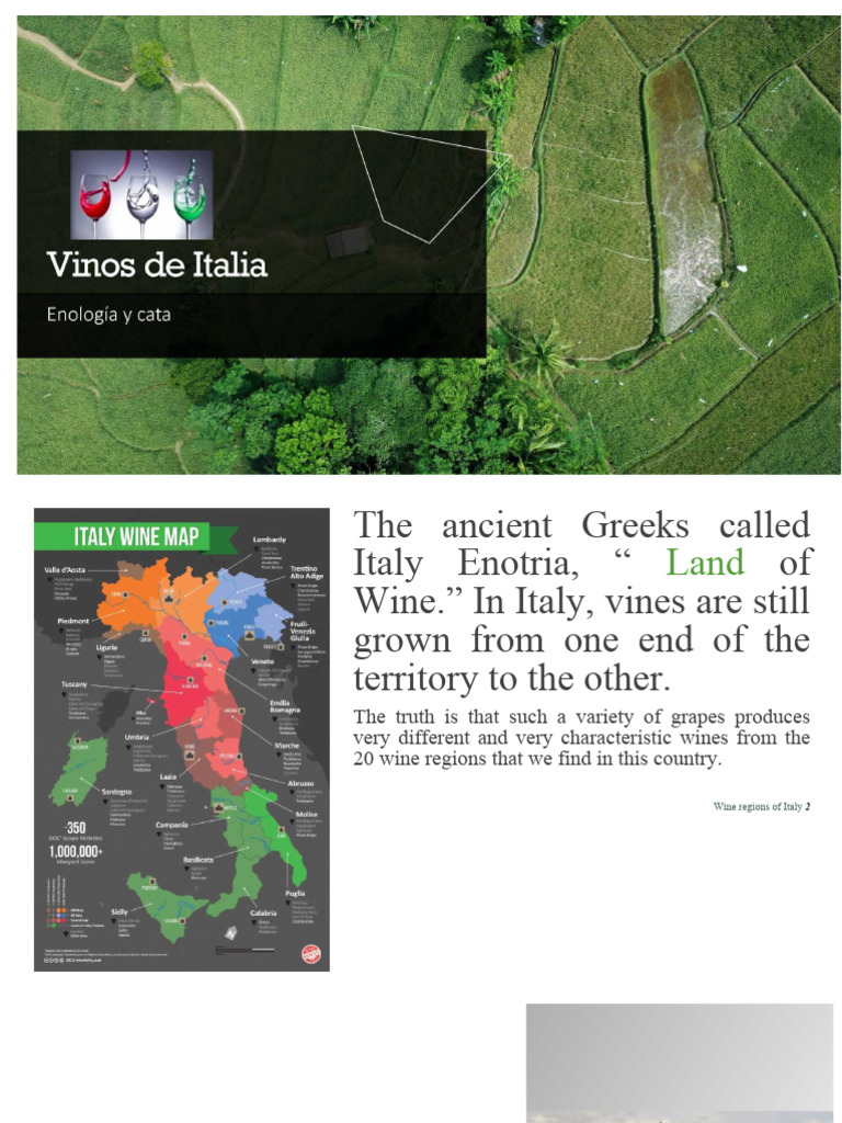 Wines of Italy PDF | PDF | Crops Originating From Europe | Vitis