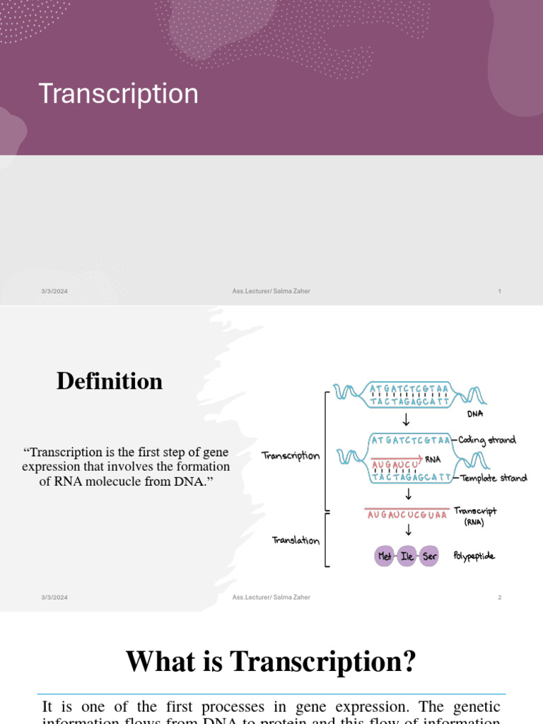 Transcription Section | PDF | Rna | Promoter (Genetics)