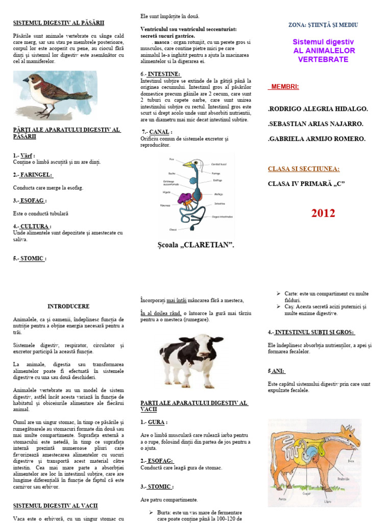 Triptic Al Sistemului Digestiv Al Vertebratelor | PDF