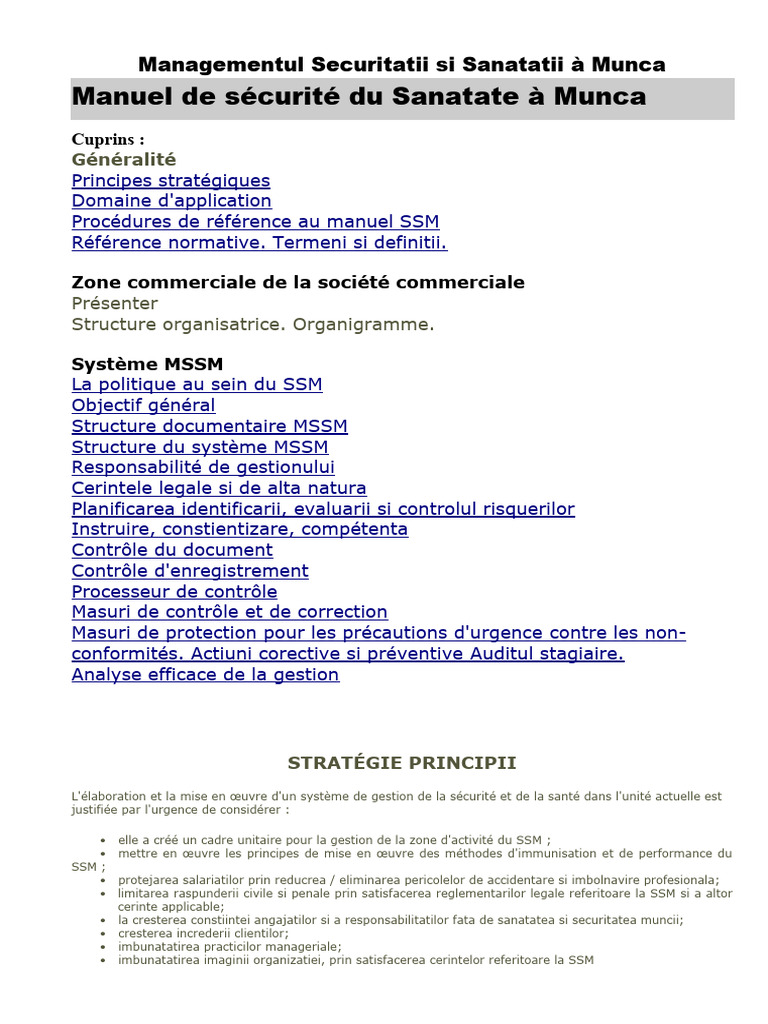 Manuel SSM | PDF | Sécurité | Audit