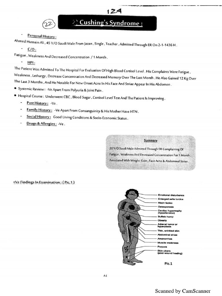 Endo Notes | PDF