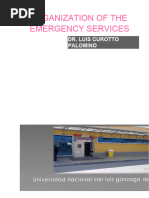 Bse Emergency Inpatient Poster A1 | PDF | Myocardial Infarction | Heart