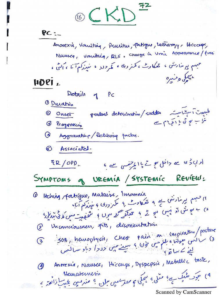 Renal Notes | PDF