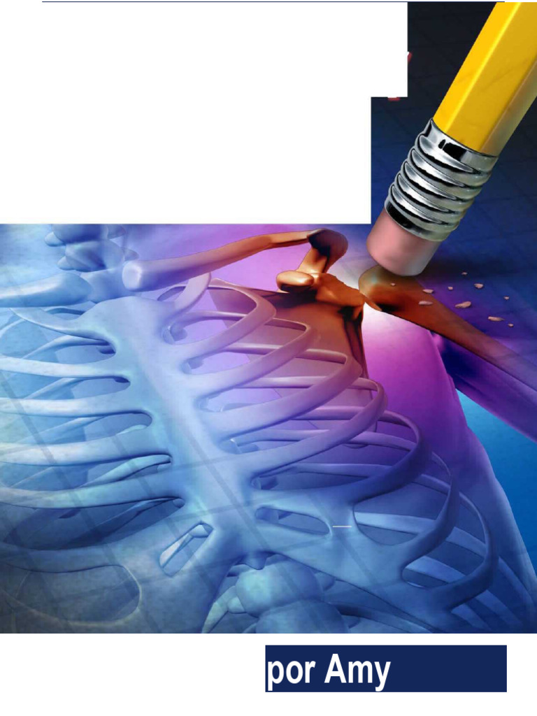 Diagramas De Anatomía Humana Pdf Riñón Sistema Reproductivo