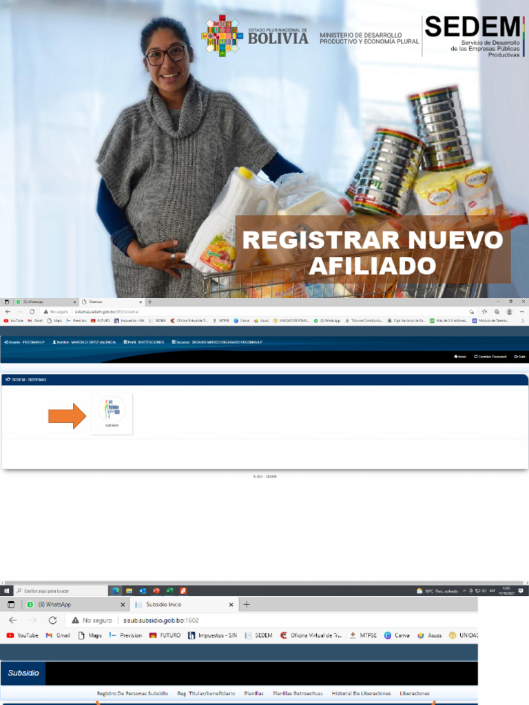 Guia Registro - Sisub - Sedem | PDF