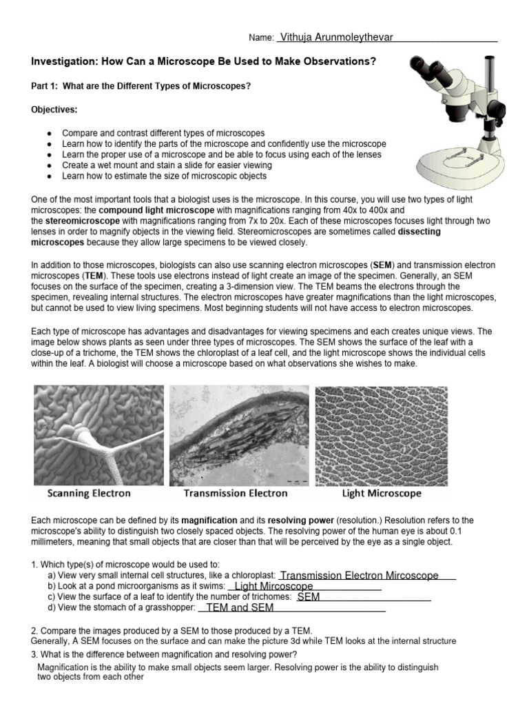 Investigation - Microscope WS | PDF | Optical Devices | Techniques