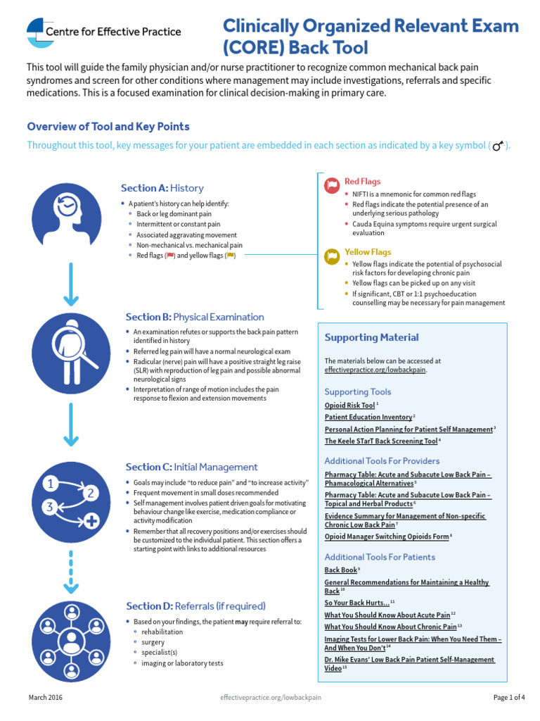 CORE Back Tool | PDF | Low Back Pain | Back Pain