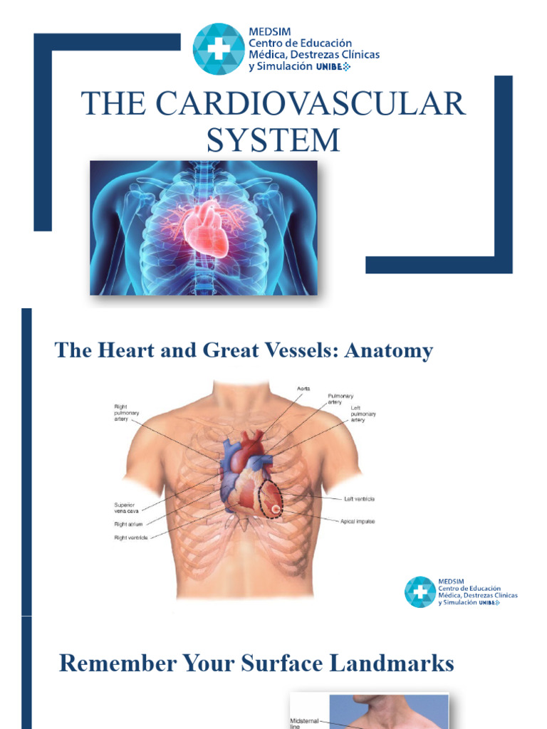 Week 5 - The Cardiovascular System | PDF | Atrium (Heart) | Heart Valve