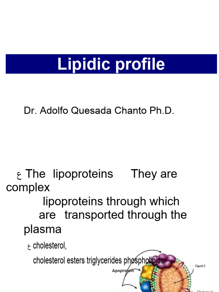 PDF Lipid Profile | PDF | Lipoprotein | High Density Lipoprotein