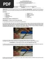 Laboratory Practice Observation of Onion Cells | PDF | Cell (Biology) | Staining