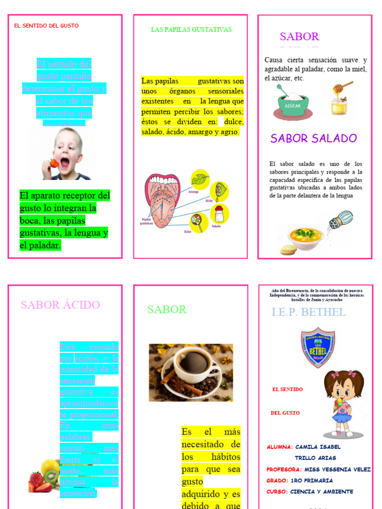 Triptico El Sentido Del Gusto | PDF | Gusto | Anatomia animal