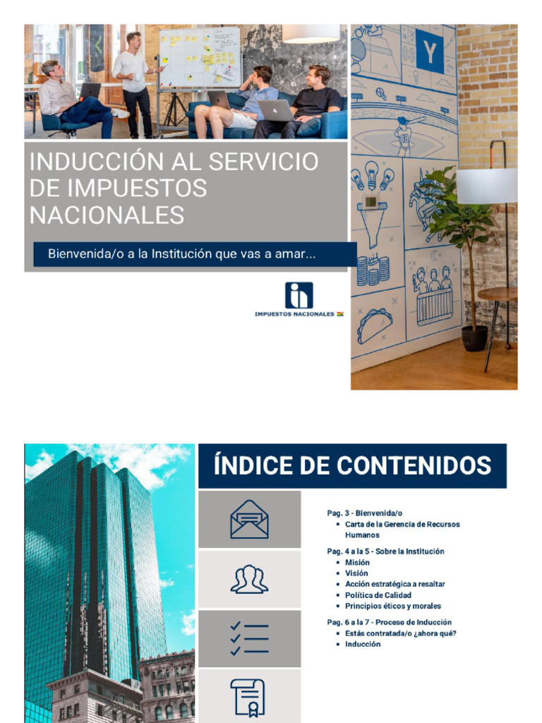 Borrador 1 Induccion | PDF