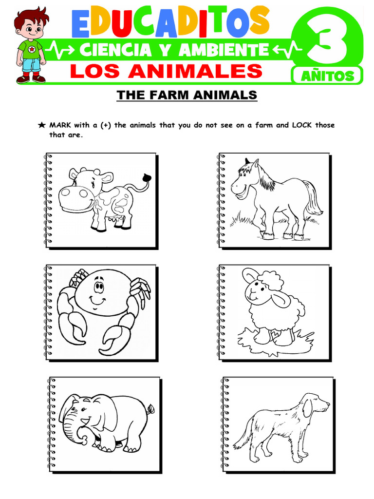 Animals For 3 Year Old Children | PDF | Zoology