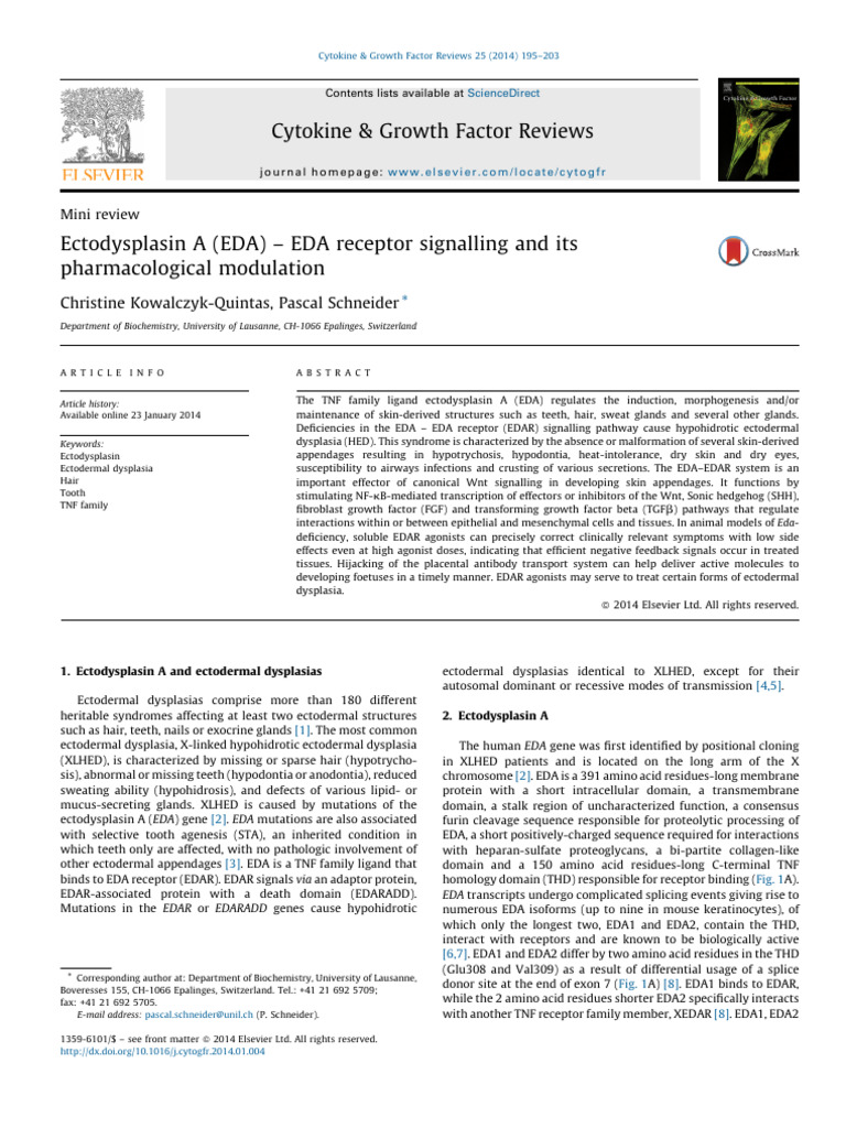 Ectodysplasin A (EDA) | PDF | Nf κb | Cell Signaling