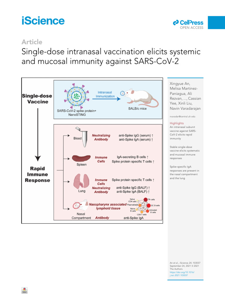 Single-Dose Intranasal Vaccination Elicits Systemic | PDF | Vaccines ...