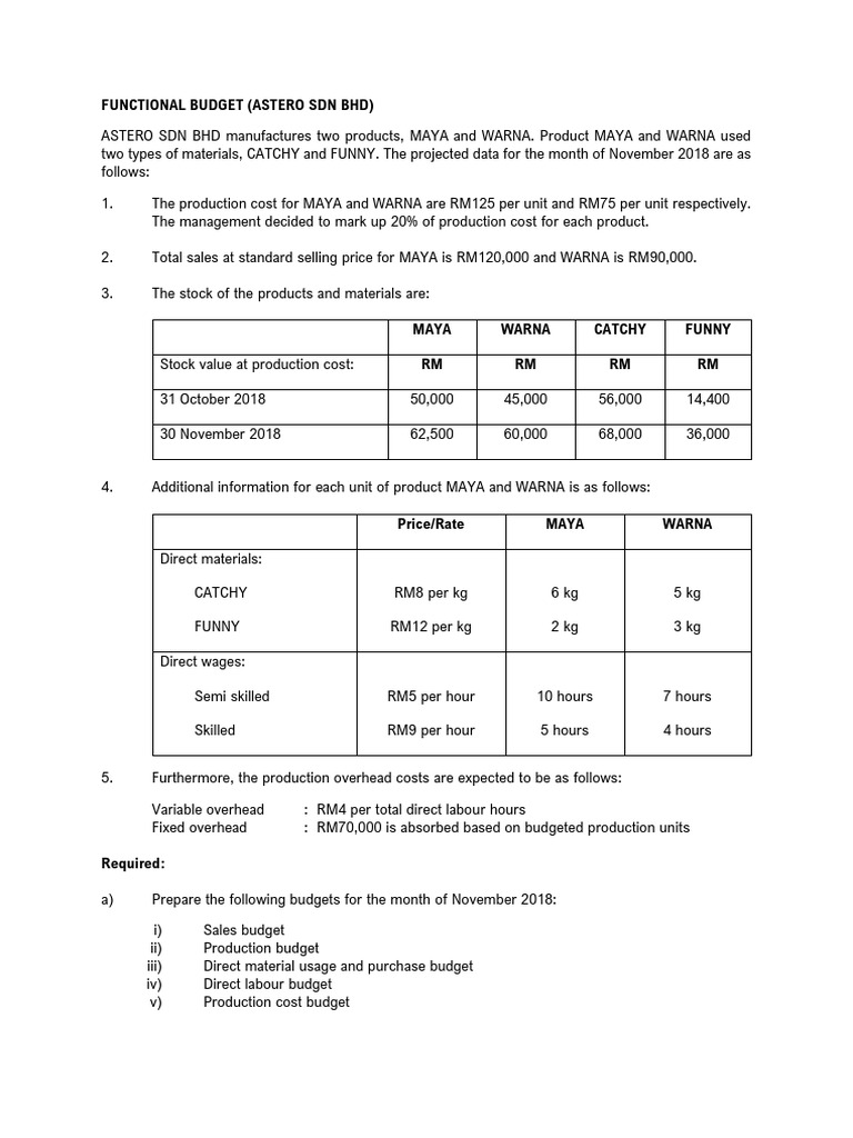 Astero SDN BHD FUNCTIONAL BUDGET Question | PDF