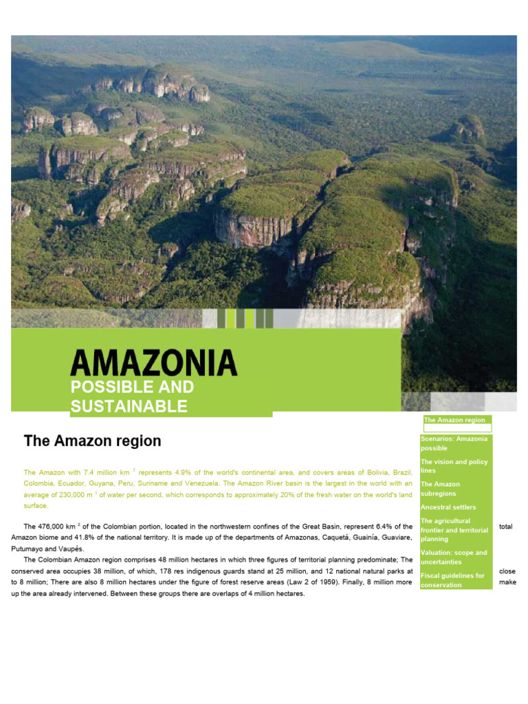 Possible and Sustainable Amazon Brochure | PDF | Amazon Rainforest ...