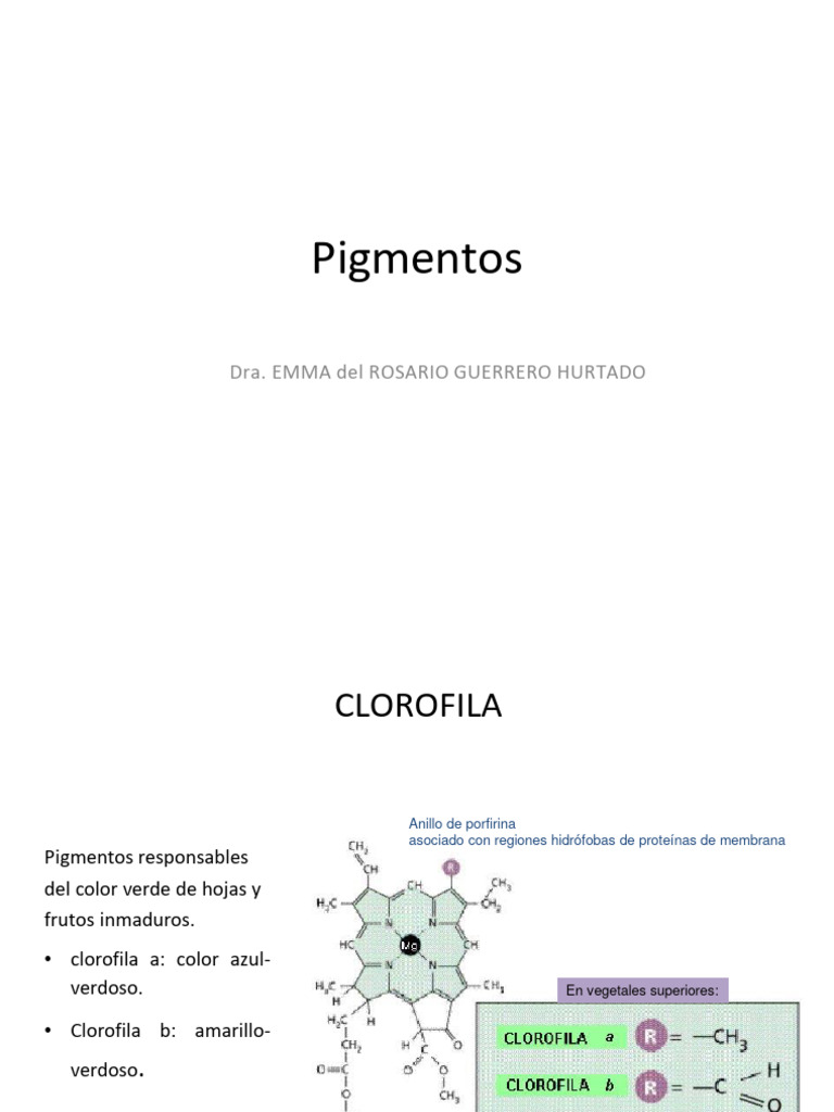 Pig Mentos | PDF | Ciencia y matemáticas