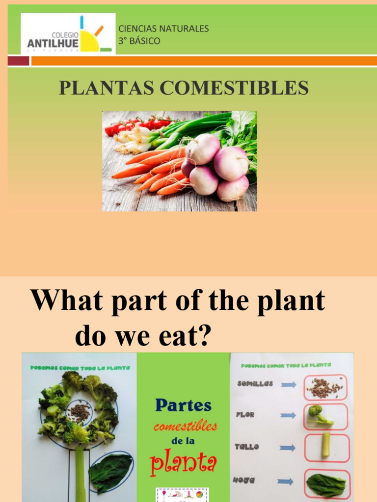 Edible Plants | PDF