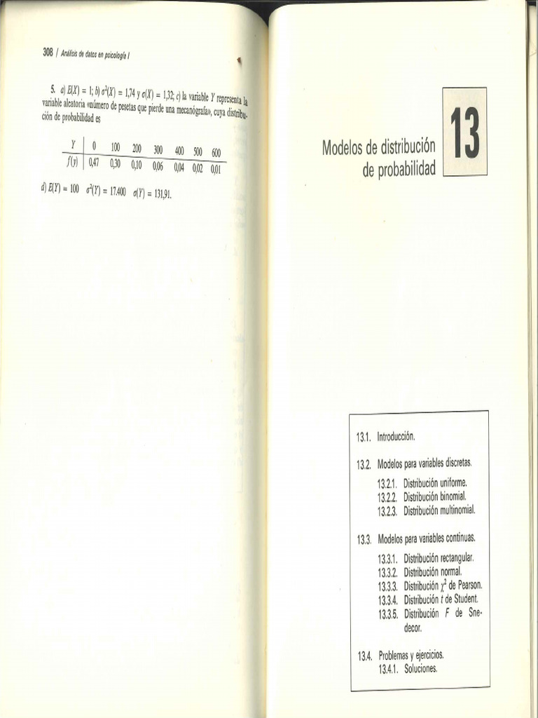 Botella - Cap. 13 | PDF