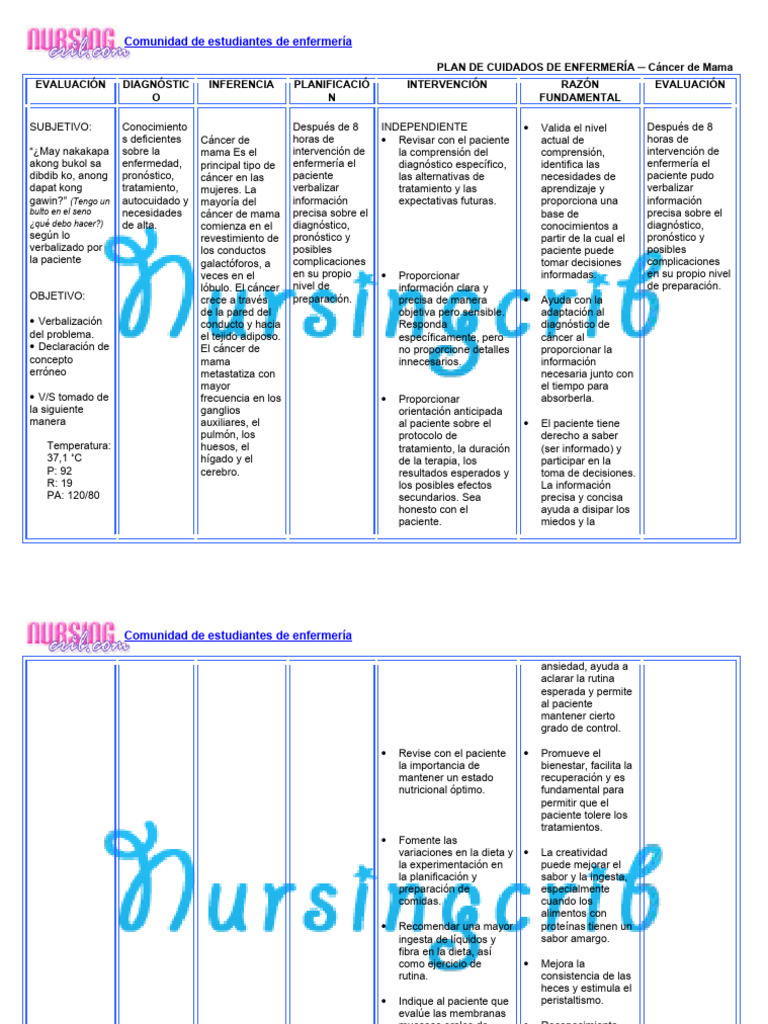 Formato De Plan De Cuidados De Enfermeria