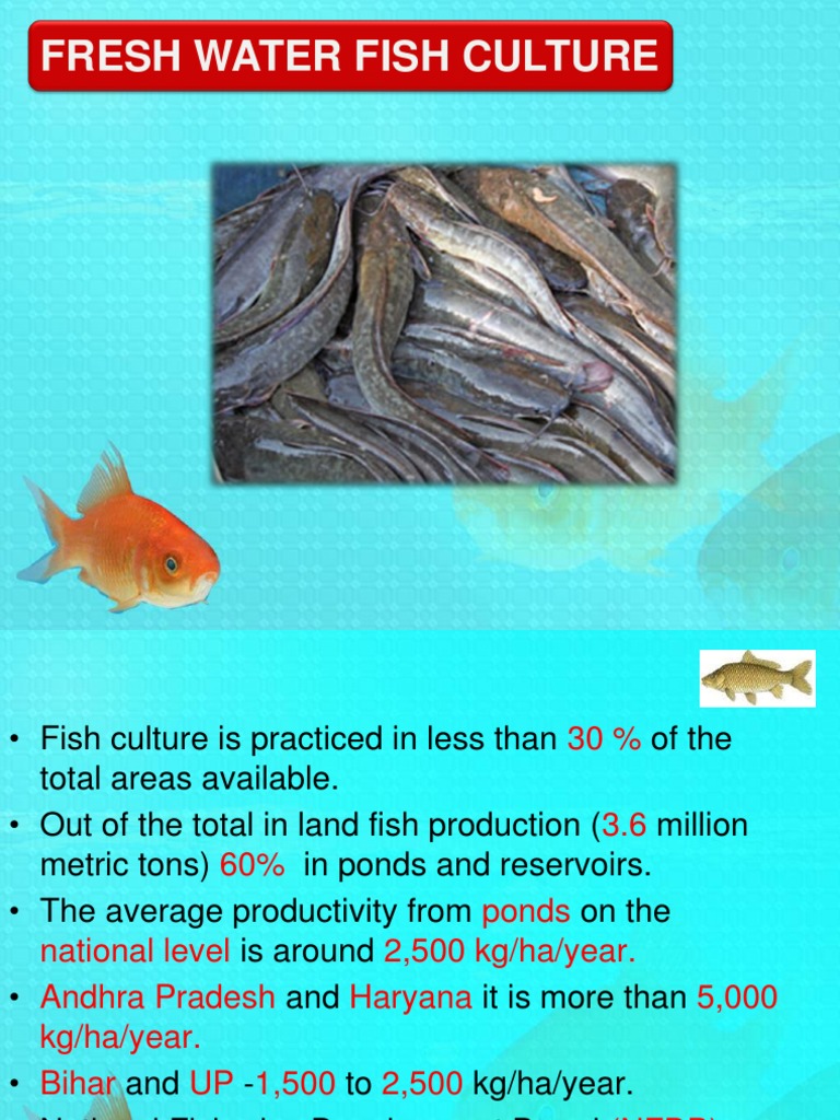 Fresh Water Fish Culture | PDF | Manure | Natural Resource Management