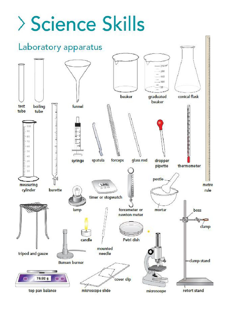 Science Skills | PDF