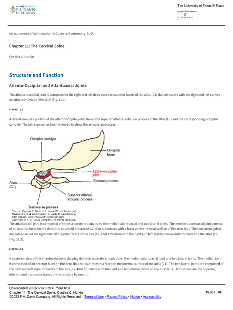 Chapter 11 - The Cervical Spine | PDF | Vertebra | Vertebral Column