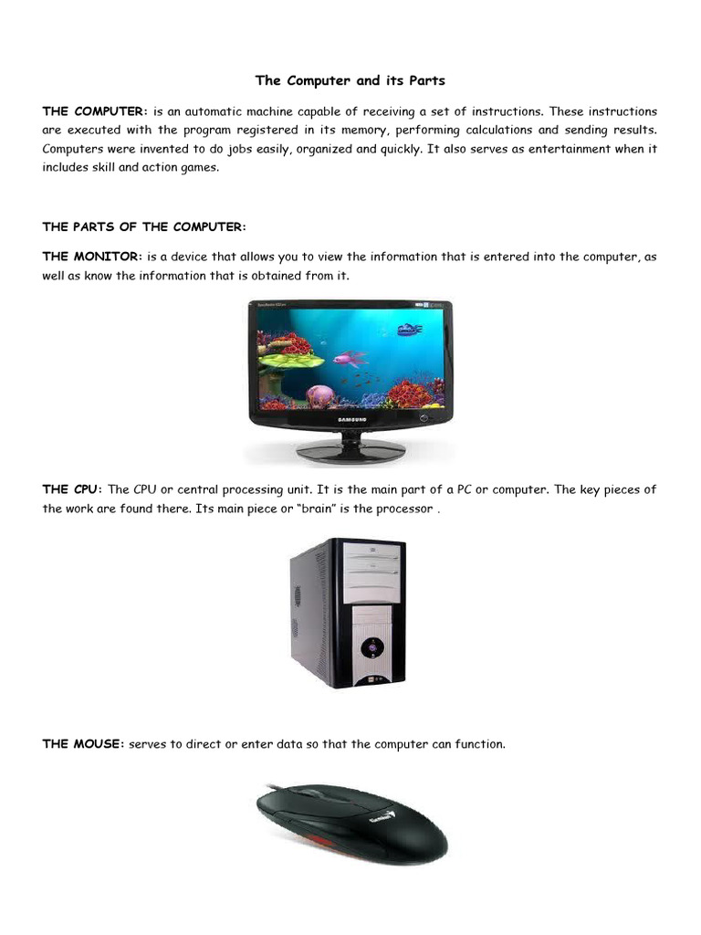 Overview of Computer Components | PDF