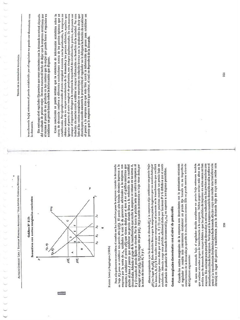 Dammert, Molinelli y Carbajal Cap 9 | PDF
