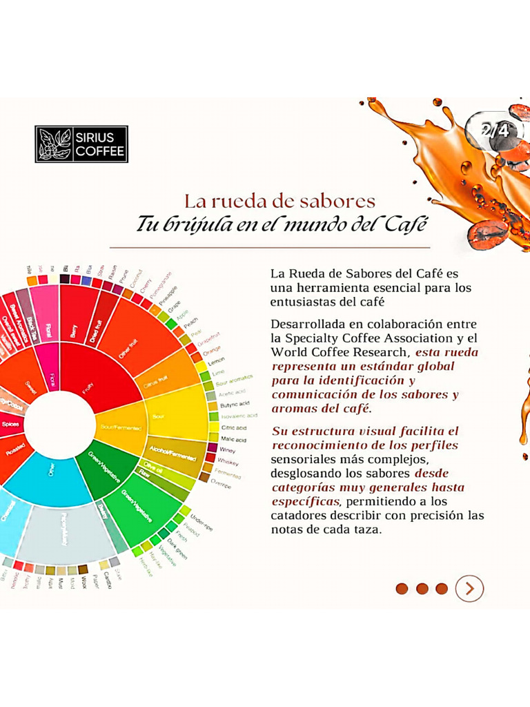 La Rueda de Sabores | PDF