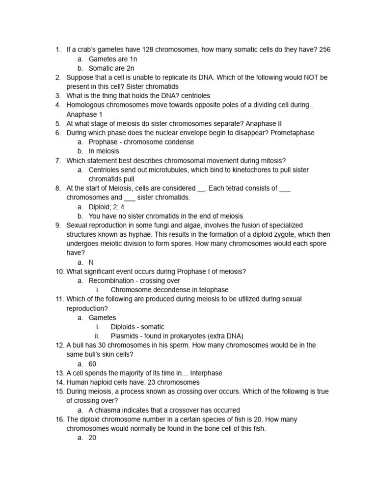 Bio Study Sesh - ) | PDF | Meiosis | Chromosome