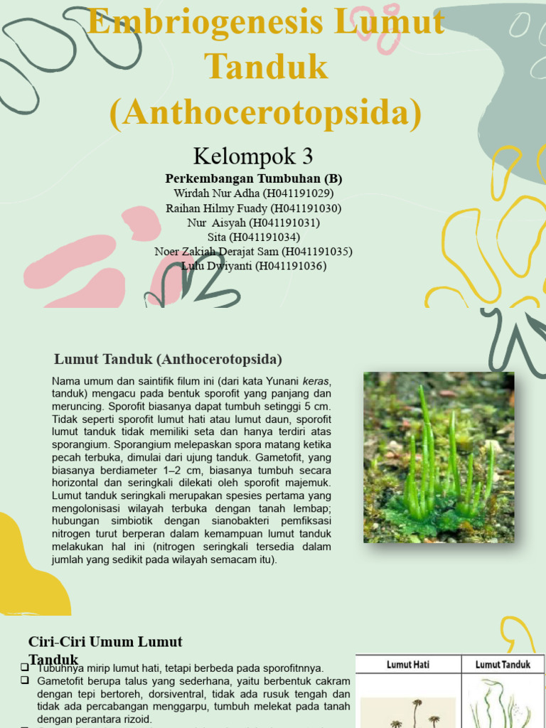 Embriogenesis Lumut Tanduk | PDF | Sains & Matematika