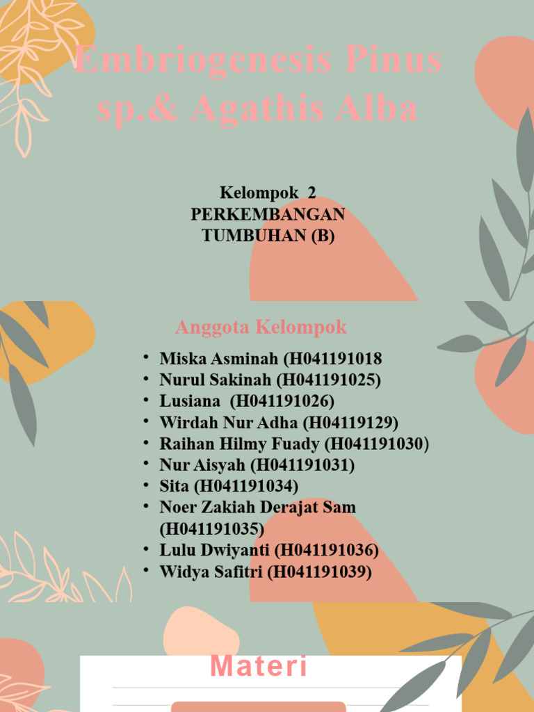 Embriogenesis Pinus Sp. Dan Agathis Alba | PDF