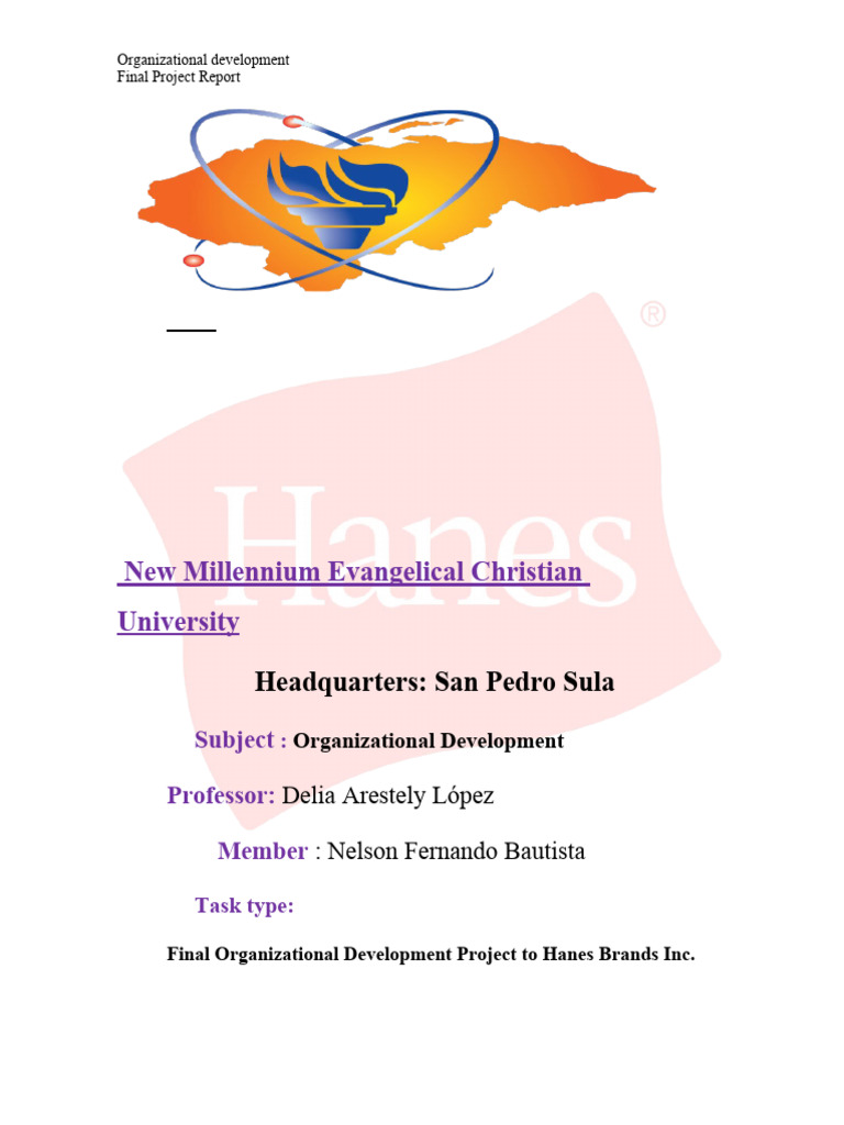 Organizational Development Project Report | PDF | Bra | Organization ...