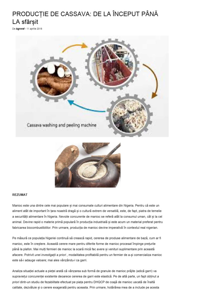 PRODUCȚIE DE CASSAVA - DE LA ÎNCEPUT PÂNĂ LA FINAL - Agroraf | PDF