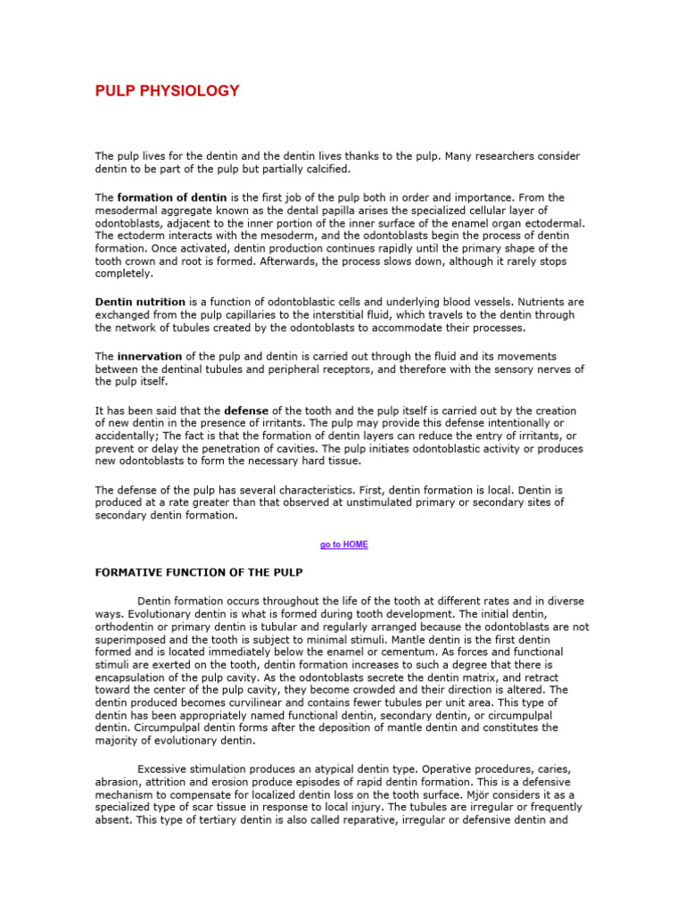 Pulp Physiology | PDF | Dentin | Neuron