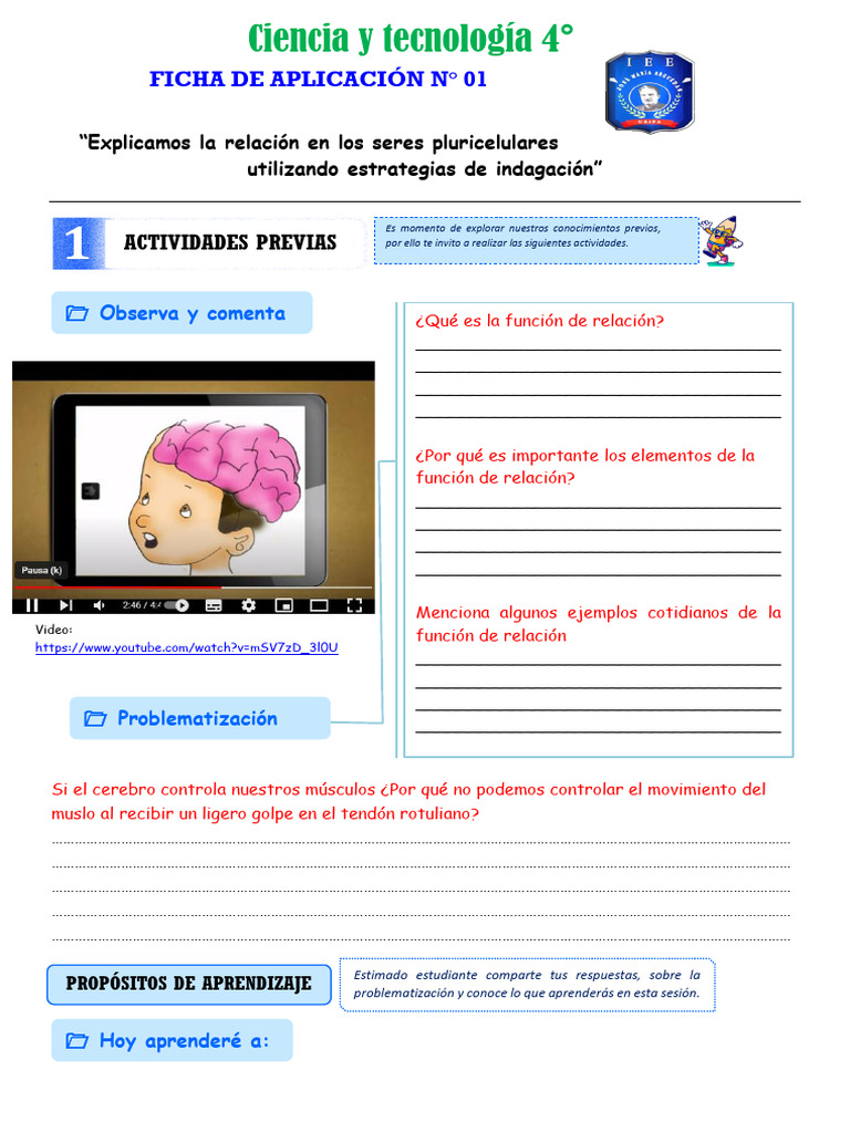 FICHA 1 - Explicamos La Relación en Los Seres Pluricelulares Utilizando Estrategias de ...