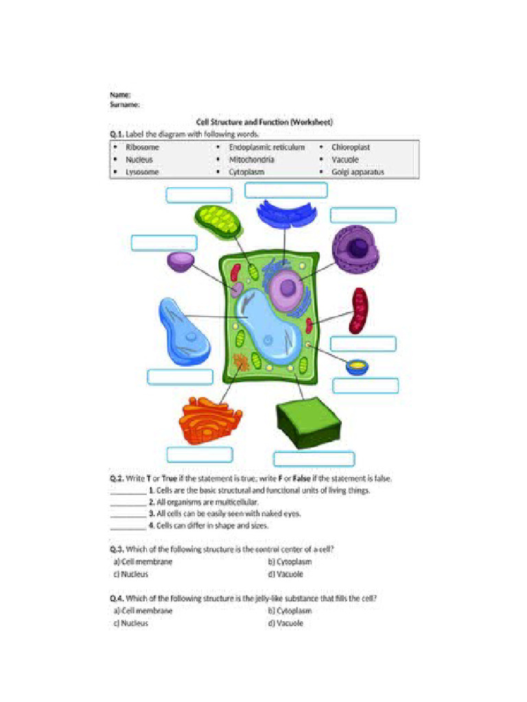 Cell Label | PDF