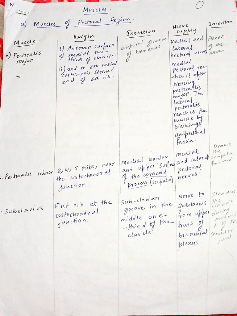 Summary of Muscles of Superior Extrimity | PDF
