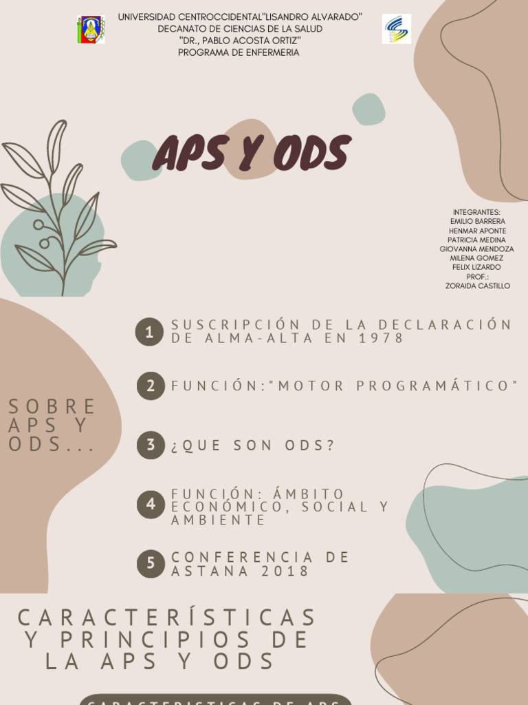 APS y ODS: Principios y Objetivos | PDF | Saneamiento | Igualdad de género